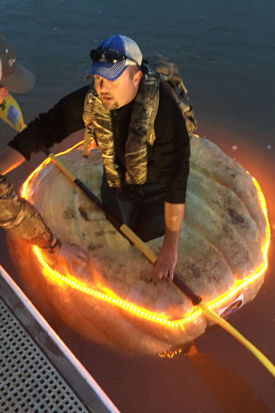 Man creates pumpkin boat then paddles 25 miles in it to set new record ...