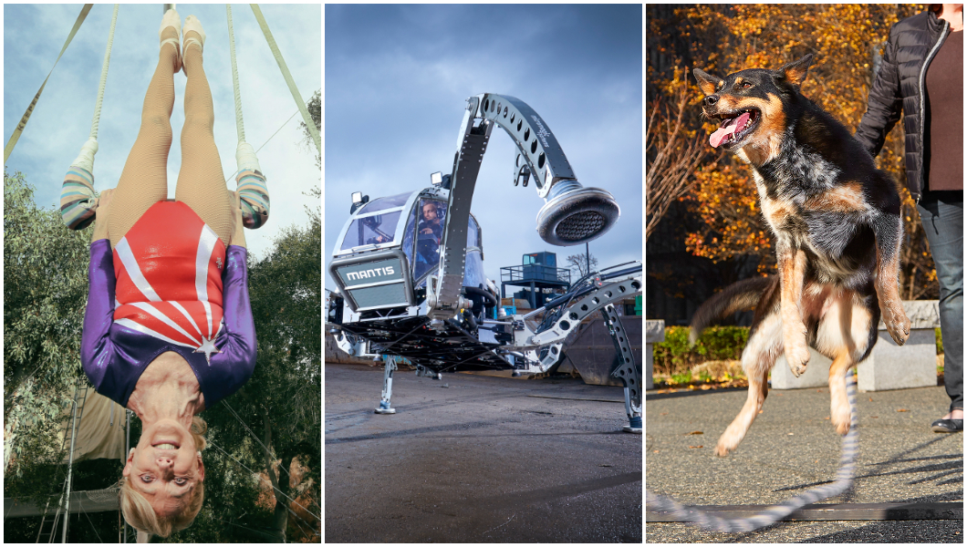 Meet the amazing stars of Guinness World Records 2019! | Guinness World ...