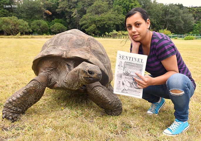 This tortoise is 187 years old! 🐢👴 | Guinness World Records