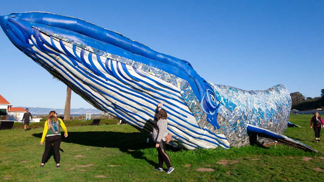 This huge whale is made of recycled plastic 🐳🌊 | Guinness World Records