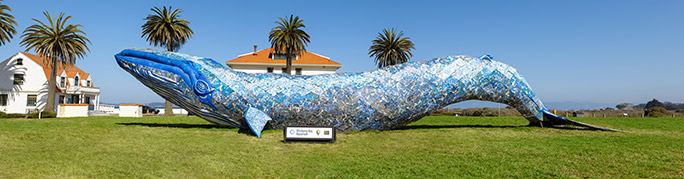 This huge whale is made of recycled plastic 🐳🌊 | Guinness World Records