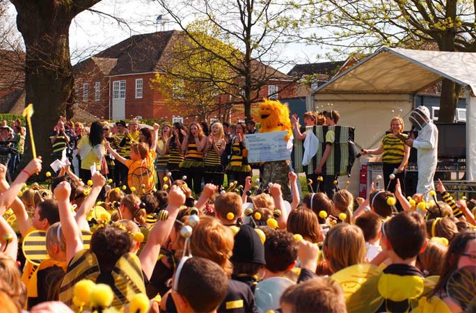 Record-breaking bees 🐝 | Guinness World Records