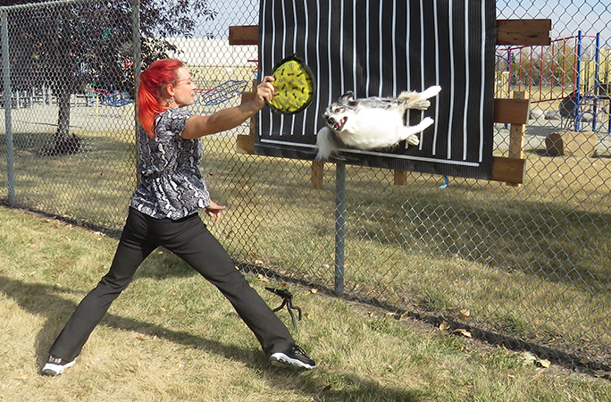 Watch Daiquiri the dog do the laundry! | Guinness World Records