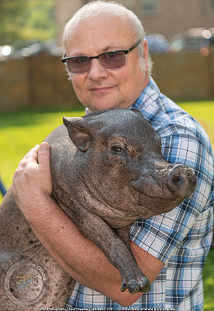 Baby Jane, aged 23, is the world's oldest pig! | Guinness World Records