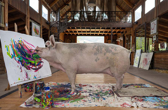 Meet Pigcasso, the piggy artist whose painting is worth £20,276 ...