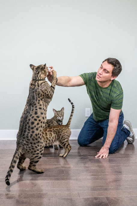 "Big lovable goofus" Fenrir confirmed as tallest cat alive 😻 | Guinness ...