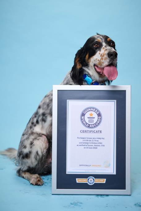 This dog's tongue is longer than a popsicle stick! | Guinness World Records