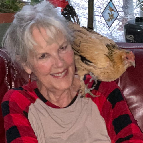 How old is the world's oldest chicken? | Guinness World Records
