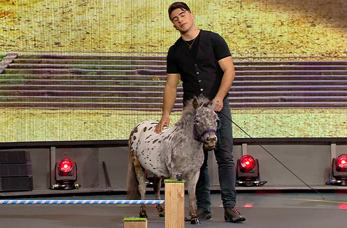 Adorable horses of all sizes break world records | Guinness World Records