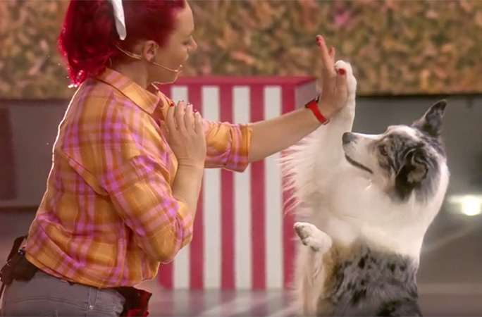 Daiquiri the dog is so talented he just broke ANOTHER record ...