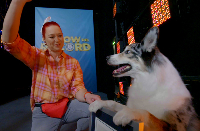 Daiquiri the dog is so talented he just broke ANOTHER record ...