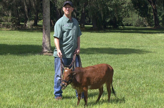 Small but mighty: meet the world’s shortest animals! | Guinness World ...