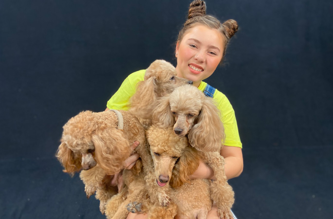 This 13-year-old dog whisperer and her poodles set a world record ...