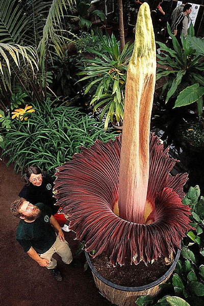 From animal farts to smelly planets, these are the world’s STINKIEST ...