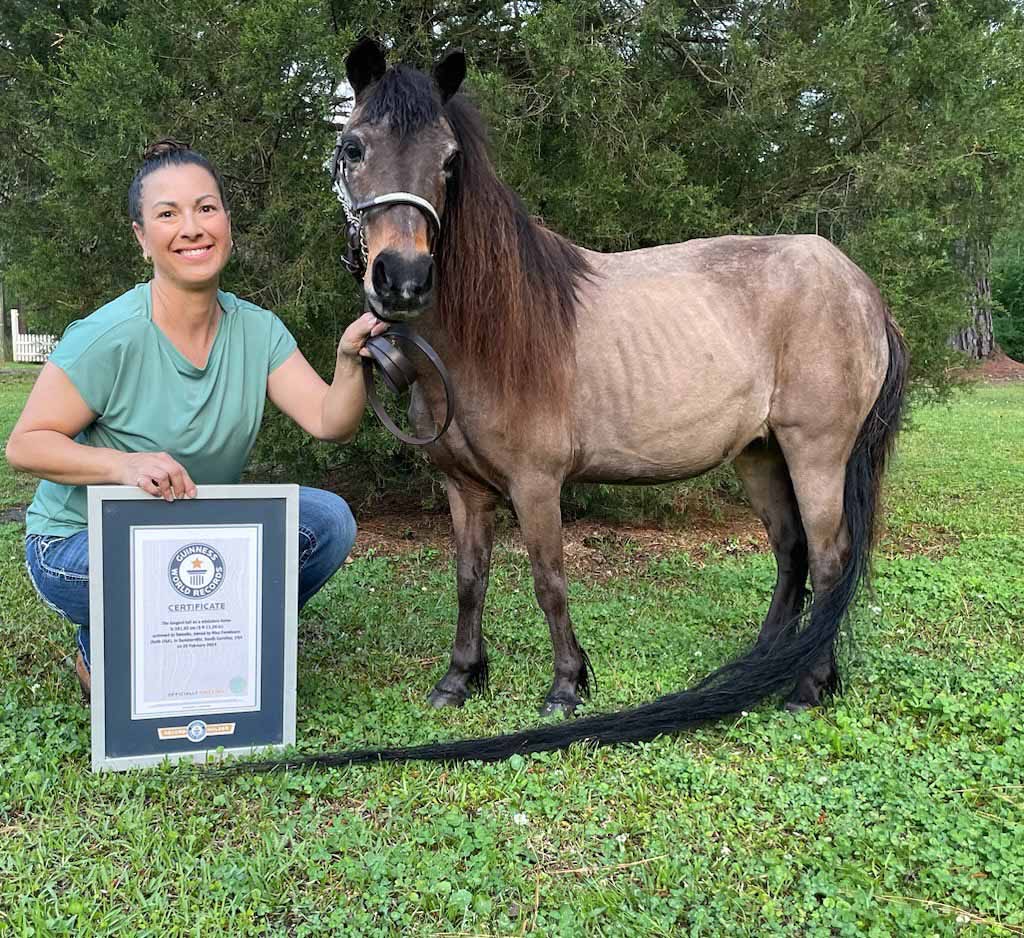 These are all the best ANIMAL records of 2024! | Guinness World Records