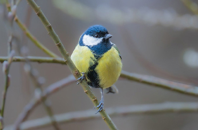 5 exciting world records YOU can break this spring! | Guinness World ...