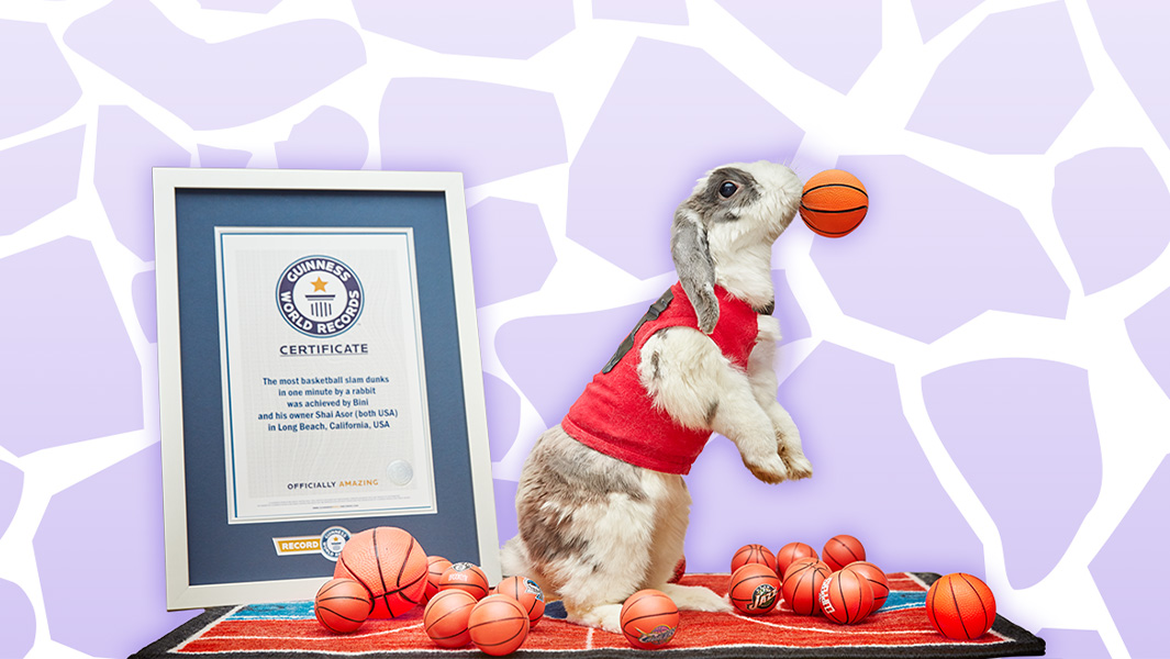 Home | Guinness World Records